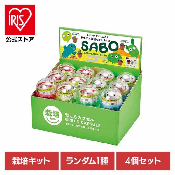 （検索用：栽培キット・栽培セット・サボテン・聖新陶芸・SEISHIN・ガチャ・さぼてん・ギフト・トゲトゲ・4528757039013）[翌日優良配送対象商品に関しまして]下記の場合は対象外となります。・13時以降(休業日は12時以降)のご注...