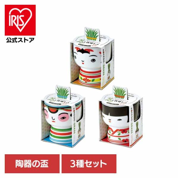 （検索用：栽培キット・栽培セット・芝・おちょぼ・ぼうず・おかっぱ・聖新陶芸・）[翌日優良配送対象商品に関しまして]下記の場合は対象外となります。・13時以降(休業日は12時以降)のご注文の場合・お届け先が対象地域外の場合(離島含む)・決済完...