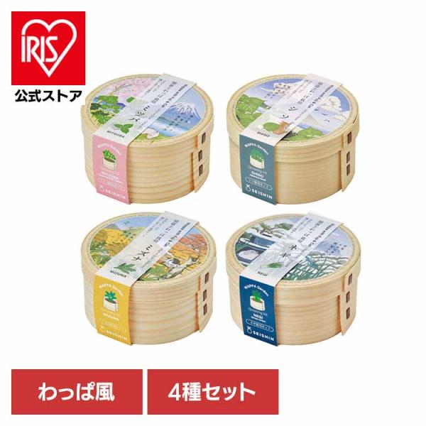 （検索用：栽培キット・栽培セット・三つ葉・しそ・水菜・ネギ・葱・聖新陶芸・）[翌日優良配送対象商品に関しまして]下記の場合は対象外となります。・13時以降(休業日は12時以降)のご注文の場合・お届け先が対象地域外の場合(離島含む)・決済完了...