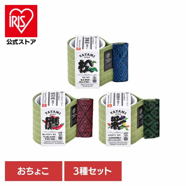 （検索用：栽培キット・栽培セット・黒松・鷹の爪・五色とうがらし・聖新陶芸・）[翌日優良配送対象商品に関しまして]下記の場合は対象外となります。・13時以降(休業日は12時以降)のご注文の場合・お届け先が対象地域外の場合(離島含む)・決済完了...