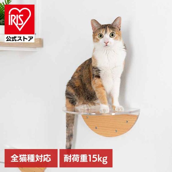（検索用：キャットウォーク・キャットステップ・猫用品・ペット用品・猫家具・猫ベッド・壁掛け・ペット共生・スケルトン・透明ステップ・0640841970959）[翌日優良配送対象商品に関しまして]下記の場合は対象外となります。・13時以降(休...