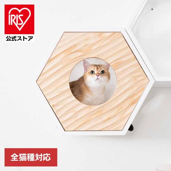 （検索用：キャットウォーク・キャットステップ・猫用品・ペット用品・猫家具・猫ベッド・壁掛け・ペット共生・猫部屋・賃貸おすすめ・0723592928018）[翌日優良配送対象商品に関しまして]下記の場合は対象外となります。・13時以降(休業日...