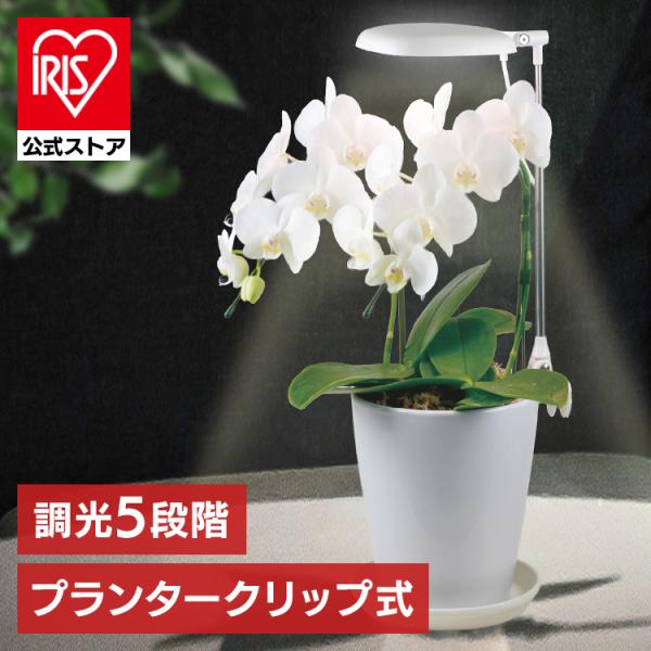 （検索用：植物育成・プラント・園芸・植物・観葉植物・開花・食用ハーブ・太陽光・光合成・ライト・4971275652385）