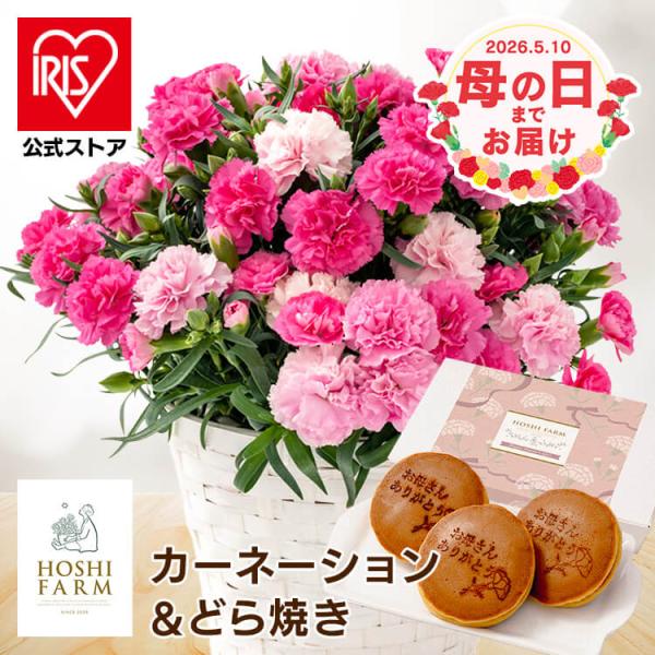 （検索用：母の日・カーネーション・鉢植え・赤カーネーション・ホットハート・お母さん・母の日カード付・どら焼き・なると金時・菓子セット・）[翌日優良配送対象商品に関しまして]下記の場合は対象外となります。・13時以降(休業日は12時以降)のご...