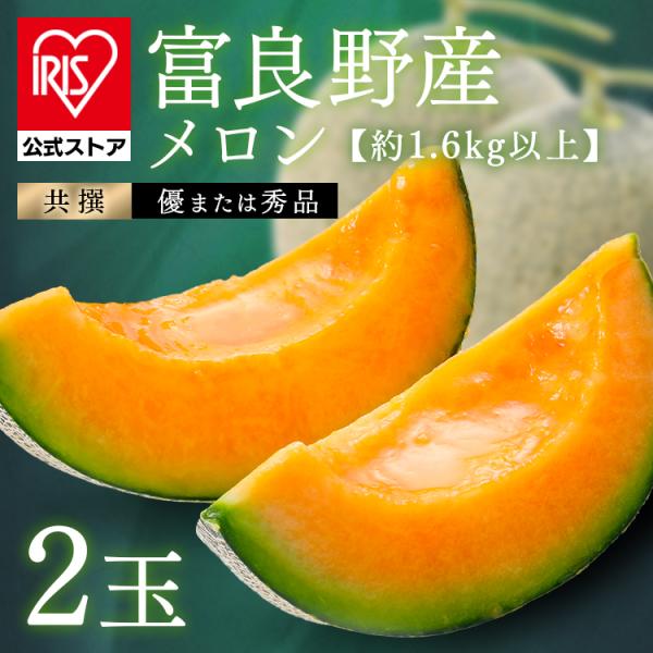 （検索用：メロン・北海道・産地直送・富良野・赤肉・フルーツ・優・秀・旬・ギフト・）