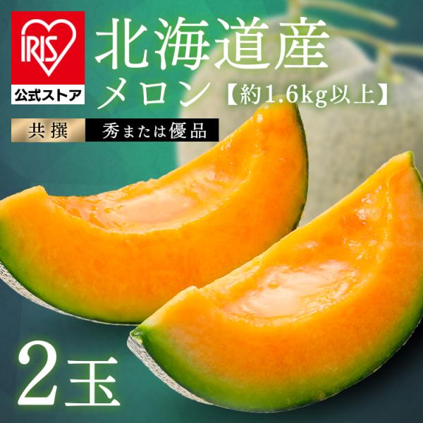 （検索用：メロン・北海道・産地直送・赤肉・フルーツ・優・秀・旬・ギフト・）