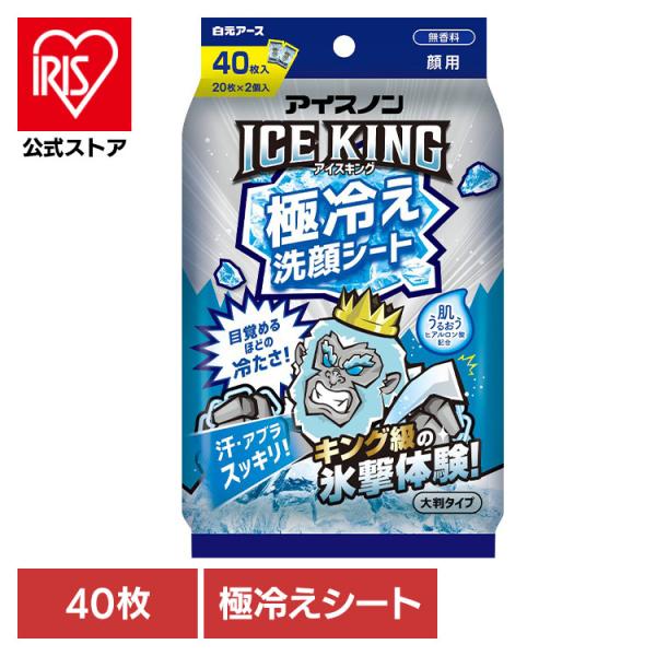 （検索用：白元アース・アイスノン・クール・猛暑・暑さ対策・ひんやり・4902407025289）