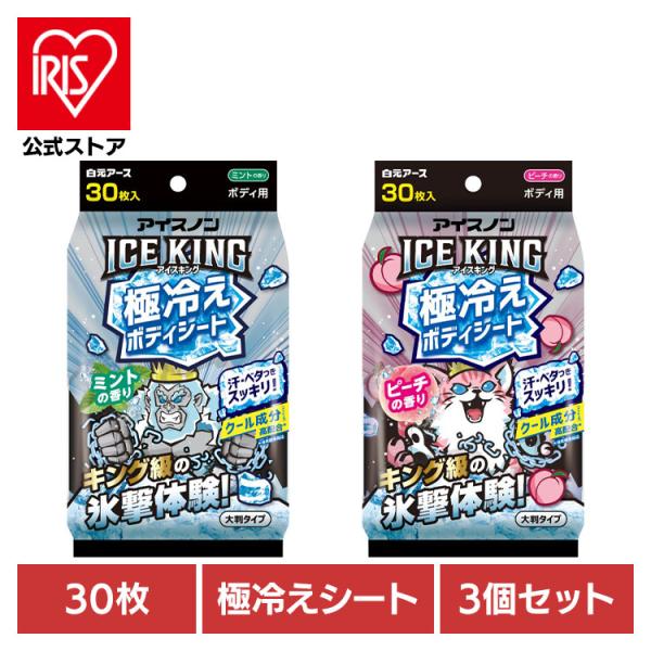 （検索用：白元アース・アイスノン・クール・猛暑・暑さ対策・ひんやり・4902407025272・4902407025265）[翌日優良配送対象商品に関しまして]下記の場合は対象外となります。・13時以降(休業日は12時以降)のご注文の場合・...