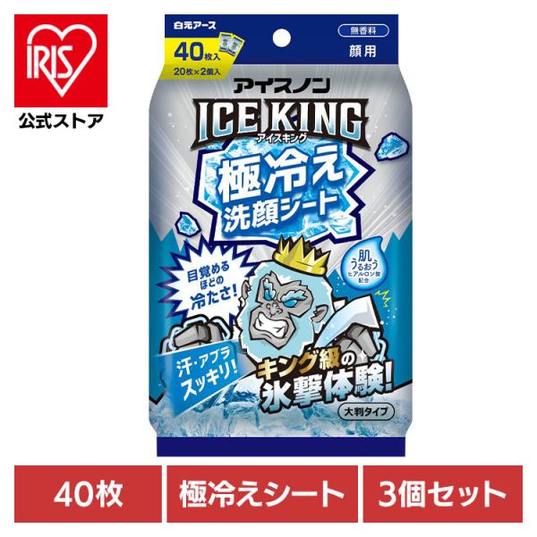 （検索用：白元アース・アイスノン・クール・猛暑・暑さ対策・ひんやり・4902407025289）[翌日優良配送対象商品に関しまして]下記の場合は対象外となります。・13時以降(休業日は12時以降)のご注文の場合・お届け先が対象地域外の場合(...