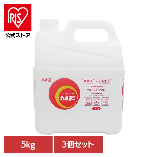 （検索用：カネヨ石鹸・カネヨン・シンク掃除・台所用洗剤・4901329210902）[優良配送・届け日指定対象商品につきまして]下記の場合は対象外となります。・13時以降(休業日は12時以降)のご注文の場合・お届け先が対象地域外の場合(離島...
