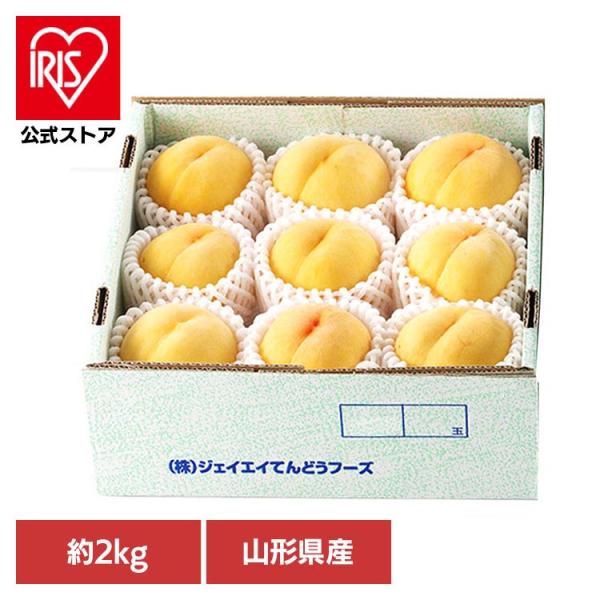 （検索用：山形県産・黄桃・お取り寄せ・送料無料・産地直送・フルーツ・ご褒美・訳あり・）[優良配送・届け日指定対象商品につきまして]下記の場合は対象外となります。・13時以降(休業日は12時以降)のご注文の場合・お届け先が対象地域外の場合(離...