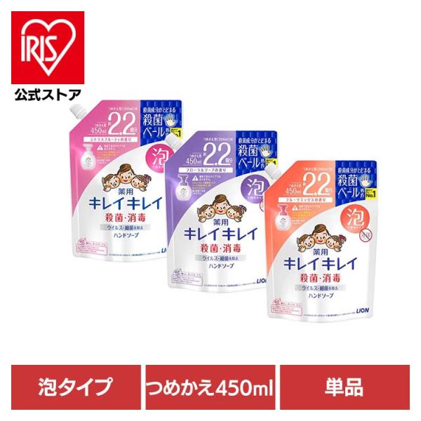 （検索用：ライオン・スキンケア・手洗い用・ハンドソープ・キレイキレイ・フローラルソープ・フルーツミックス・シトラスフルーティ・詰め替え・450ml・薬用泡ハンドソープ・LION・4903301176862・4903301241010・490...