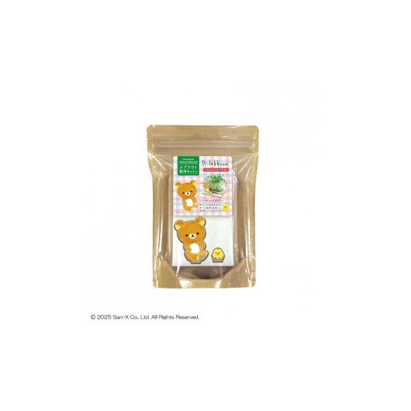 スプラウト栽培キット●リラックマのスプラウト栽培キット(ブロッコリースプラウト)です。しっかり楽しめる2回分入り。 生産国:日本 商品サイズ:W128×H68×D98mm(組立時)