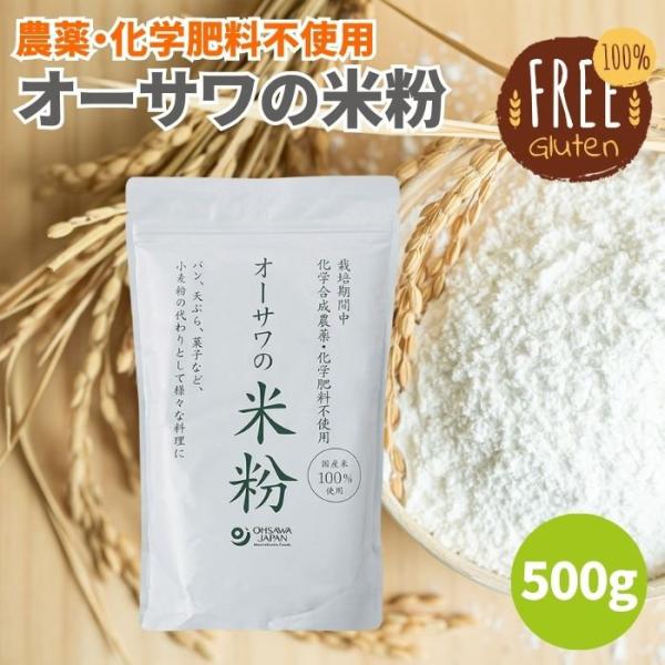 【商品説明】農薬・化学肥料不使用  国産米100％　小麦粉の代わりとしてさまざまな料理に■白米を粉末にした■パンや菓子の材料などに■揚げ衣に使うとカラッと揚がる【用途】ギフト プチギフト プレゼント お年賀 バレンタイン ホワイトデー ひな...