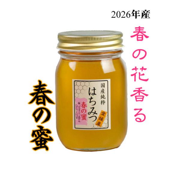 【発売日：2026年06月01日】国産 はちみつ 愛媛県産 春の蜜 2026年 新蜜。春の陽気、野に咲く花々の香り溢れるはちみつ。桜、ヤマフジ、ヘアリーベッチなど春の野山の花々から集められた香り高い春の蜂蜜です。今年は桜の香りのするものもあ...