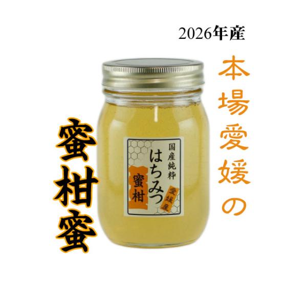 【発売日：2026年06月01日】国産 蜂蜜 愛媛県産 みかんの蜜 2026年 新蜜。蜜柑の単花蜜です。柑橘系ならではの爽やかでフルーティーな味わいのはちみつです。伊予柑、温州、デコポン、はるか、紅マドンナ・・・愛媛ならではの柑橘が入った蜂...