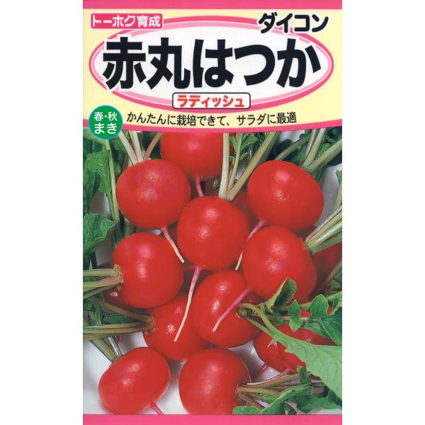 赤丸はつか ラディッシュ見た目は鮮やかな赤色で中は純白。丸く小さく可愛いはつか大根。そのまま食べることができ、歯切れの良さはサラダやピクルスに最適です。ダイコン（二十日大根） 廿日大根 英名:Radish 植物分類:アブラナ科●商品の特徴 ...