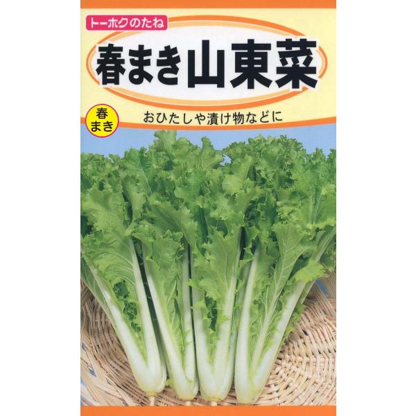 トーホクでは全国に伝わる貴重なツケナ品種を数多く取り扱っておりますまた一部の品種は交配種にすることで生育揃いや生育スピードなどに改良が加わり、一層利用しやすくなっております地方の風土に根ざし、独自の食文化を担うそれぞれの品種は、後世に引き継...
