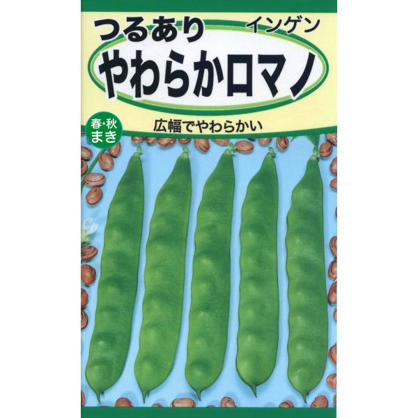 つるありやわらかロマノ風味豊かで美味しいと定評のある品種。さやは幅2cm、長さ15〜16cmの肉厚で鮮緑色の平さやで、スジもなく食感も優れるます。生育旺盛で長期間高い品質を楽しめます。インゲン（つるあり） 隠元・菜豆 英名:French b...