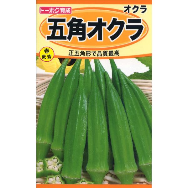 五角オクラやわらかく美味しい五角莢。濃い緑色できれいな正五角形の莢が次々と収穫できる高品質の早生種です。暑さに強く草勢も充分あるので曲りやイボも少ない安定的な栽培特性です。オクラ 陸蓮根 英名:Okra 植物分類:アオイ科●商品の特徴 トー...