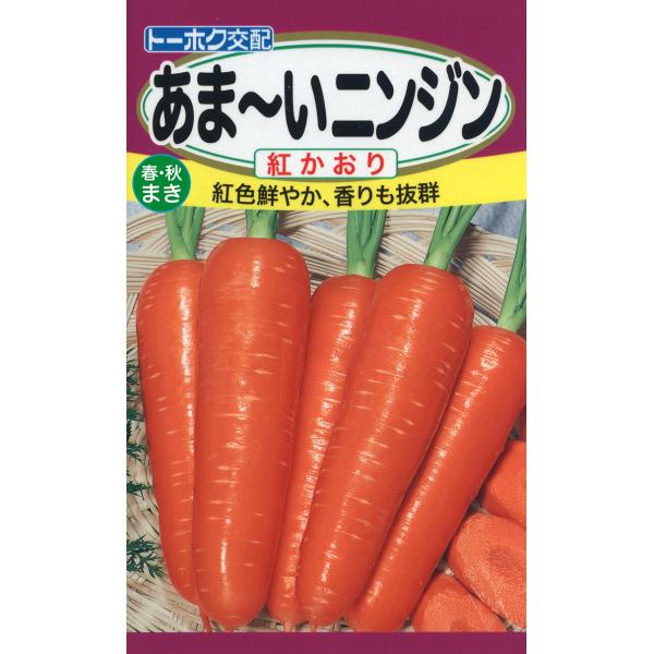あま〜いニンジン 紅かおり食味の優れる高品質系。ニンジン臭少なく煮物のほか、生でのサラダやジュースは格別で、フルーツ感覚で子供にも好評。病気に強く栽培容易で、芯まで鮮やかな紅色となります。ニンジン 人参 英名:Carrot 植物分類:セリ科...