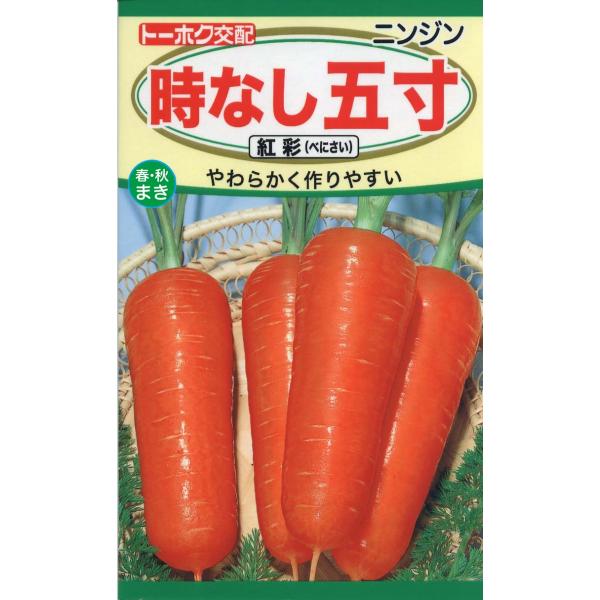 時なし五寸 紅彩（べにさい）暑さや冬の寒さによく耐え、春まきではとう立ちしにくく病気にも強い万能型品種。やわらかく食味も良い約15cmのきれいな円筒形に仕上がり、生育旺盛でよく揃います。ニンジン 人参 英名:Carrot 植物分類:セリ科●...