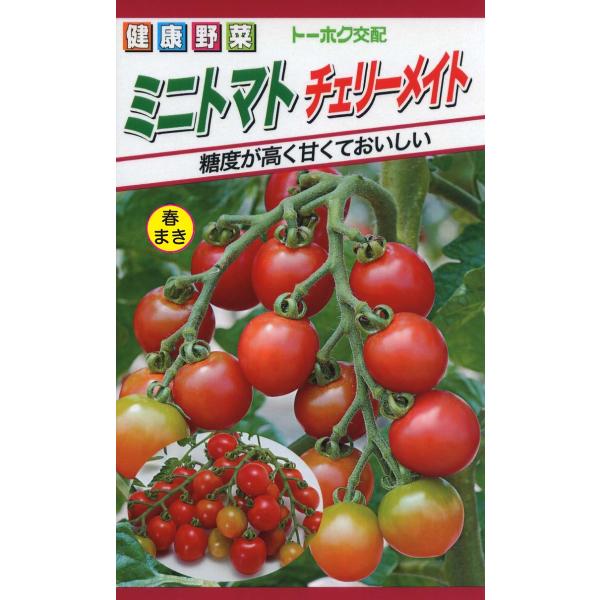 ミニトマト チェリーメイト糖度が高く酸味が少ない甘くおいしい品種。夏場の露地栽培での特性に優れています。果皮は光沢があってやわらかく、鈴なり状にたくさん収穫できます。トマト 蕃茄・赤茄子 英名:Tomato 植物分類:ナス科●商品の特徴 ト...