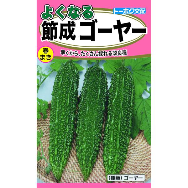 トーホクのゴーヤーは沖縄や熱帯アジアの在来系を国内の環境条件に適応させた進化系特に中長種は苦みを抑えて食べやすく、アバシ種は節成性を上げて高い収量性を実現させた、いずれの品種も業界では先駆的なF1品種ですニガウリ    苦瓜・蔓茘枝 英名:...