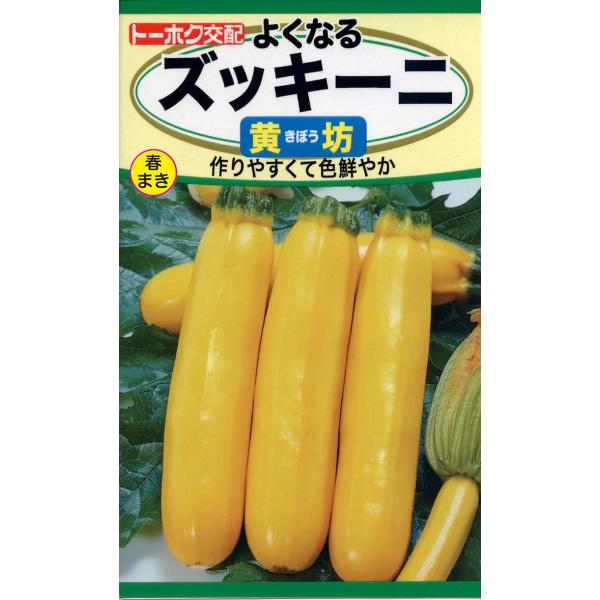 果実はキュウリのようで、食感はナスにも似て・・・・緑や黄色と色も鮮やか最近市場でひときわ目立っているのがこのズッキーニ実はカボチャの仲間で、開花直後の幼果から長さ２０ｃｍの若い果実を食べ、主にイタリア料理などに使われていますトーホクのズッキ...