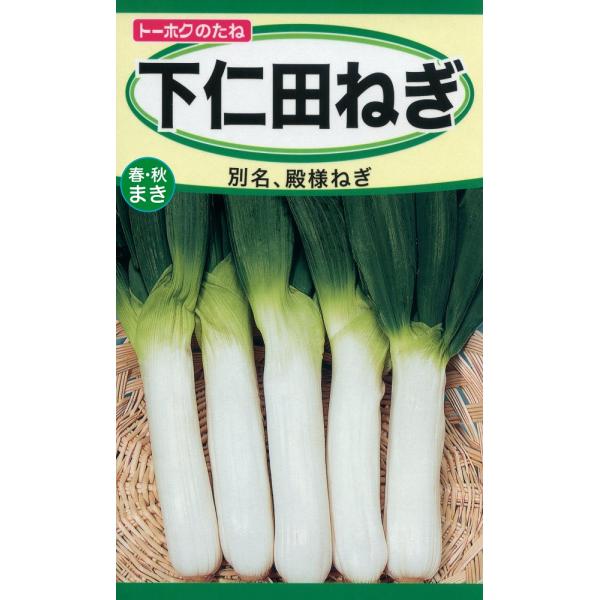 ネギは日本での栽培の歴史は古く、元来は薬用植物として使われていたようです色々な品種が全国各地で発達し、薬味としてだけでなく、様々な料理に使われて現代まで受け継がれてきました健康ブームも相まって今では周年なくてはならない主役級野菜の一つになっ...