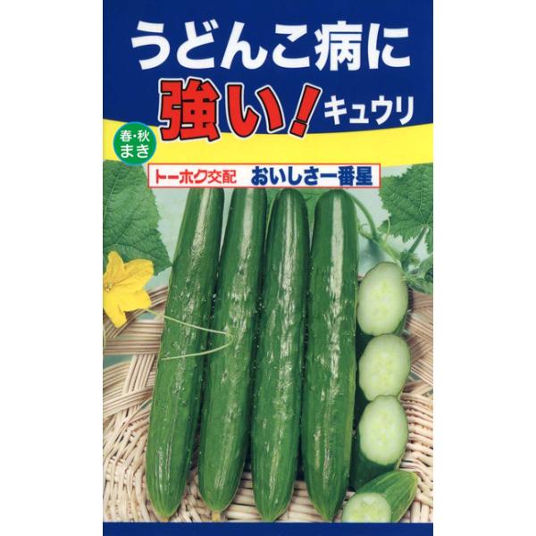 おいしさ 一番星うどんこ病に極めて強く、べと病・褐斑病・ウイルス病にも強い作りやすい品種。枯れ上がり遅いので、良食味の秀品を長期間収穫できます。支柱作り、地這作り両方に向きます。キュウリ 胡瓜・黄瓜 英名:Cucumber 植物分類:ウリ科...