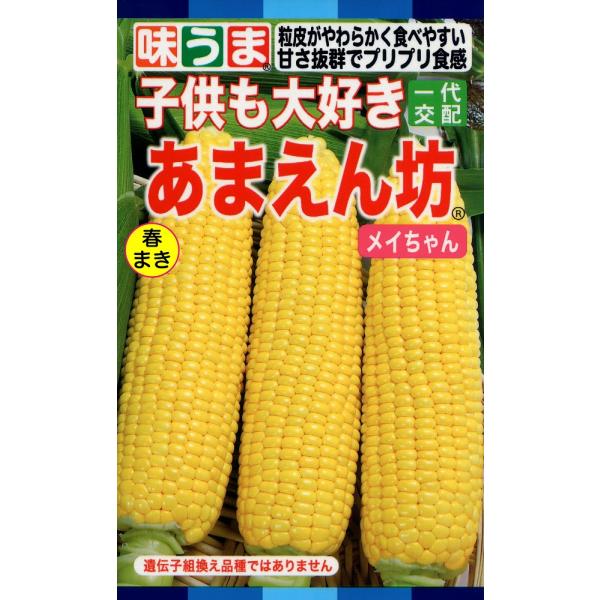 トーホクのトウモロコシは常に最新トレンドを追求していますイエロー、バイカラー、ホワイトいずれも市場で評価の高い品種のラインナップです先端までしっかり粒が入り、見た目の印象も良いきれいな筒形で濃緑の外皮色食味の甘さはもちろんのこと、粒皮のやわ...