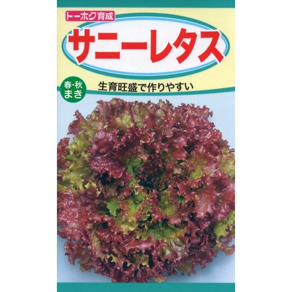 家族のお弁当に、子供たちの朝のパン食に、たまには自宅で焼肉を・・・・とこの葉物野菜がどれだけ重宝するか主婦にとっては日常的に利用できるよう作っておきたいのがレタス直売所でも人気のアイテムです連作は避け、栽培する場所は毎年変えましょう。レタス...