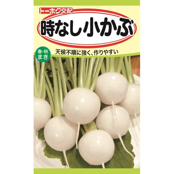 カブは日本には弥生時代に伝わったとされる古い野菜です全国各地で実に様々な品種が分化し、今も地域の食生活に根付いていますトーホクはそれらの多くを大事に守っていますまた野菜の芸術品とも呼ばれる「金町小カブ」については、純白で腰高の美しい形と、き...