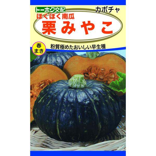 トーホクのカボチャは味の良さが定評です今の時代のカボチャがいかに美味しく進化しているか、戦中戦後の食糧難時代を経験してカボチャ嫌いになった人たちも納得する味だと思います特に核家族化が進む中で様々な利用形態に合わせた、いずれも良食味の品種を取...