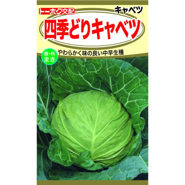 トーホクのキャベツは食味の良さが基本ですキャベツは周年使いたい野菜の一つしかし球になっているだけで美味しく食べられないならご近所にもあげられませんみずみずしく甘い味わいで、歯切れの良い食感があって初めてキャベツと言えるのではないでしょうかト...