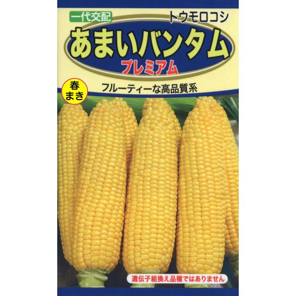 あまいバンタムプレミアムワンランク上を目指して育成されたフルーティーな高品質系。タネまきから83日で400g以上になり、粒皮やわらかくプレミアムな味わいで食べ応え充分。直売所出荷でも好評です。トウモロコシ 玉蜀黍 英名:Sweet corn...