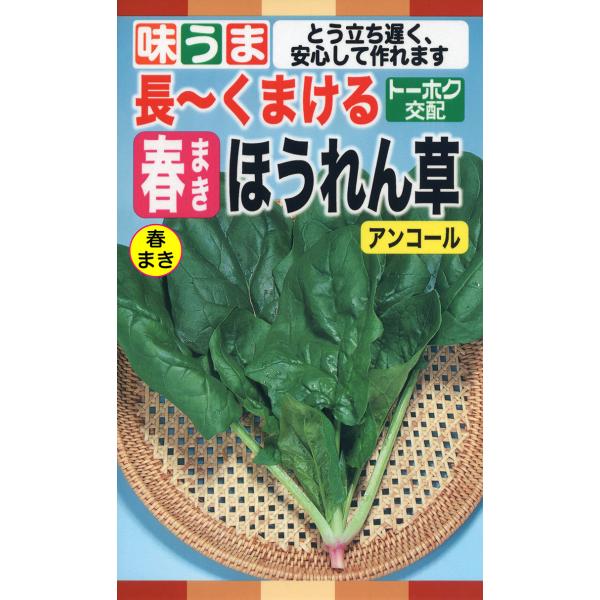 長〜くまけるほうれん草 アンコールとう立ちの心配が少ないのでタネをまく時期が長く、病気にも強く作りやすい品種です。葉は肉厚で照りがあって見映えよく、株も充実する多収タイプです。直売出荷にも最適です。ホウレンソウ 法蓮草・菠薐草 英名:Spi...