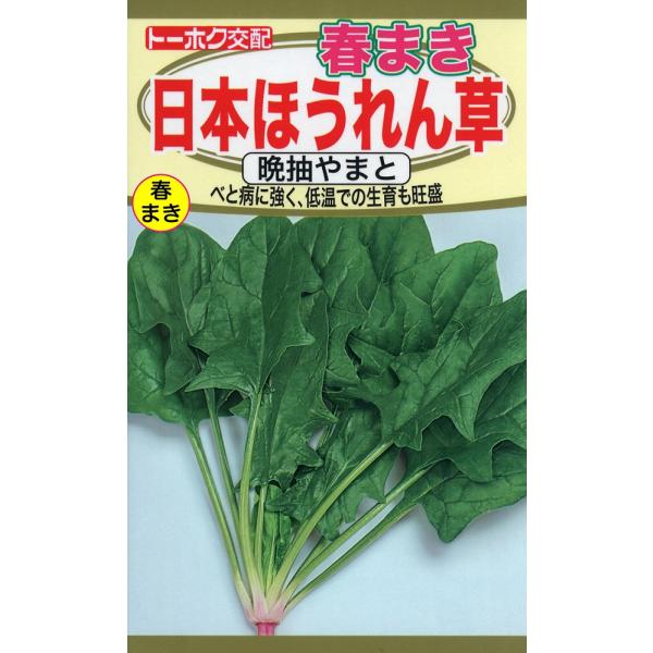 トーホクのほうれん草は、発芽の良さ・生育の良さ・食味の良さの３拍子が揃っています特に生育期間の短い葉物野菜ですから、発芽のばらつきは致命的ですまた病気もいったん発生すると一気に全体に広がりますから油断できませんトーホクではこれらお客さんの最...