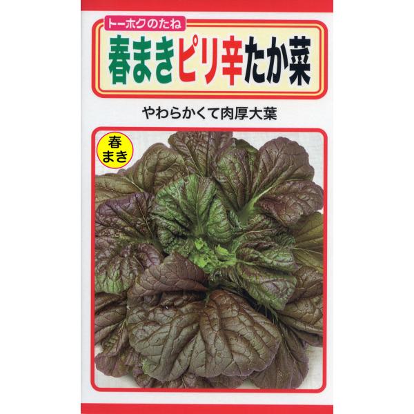 独特の風味や辛味を持つ葉物野菜。各地で郷土の料理や漬物に使われ、ふるさとの味としてなくてはならない野菜です。トーホクではそれぞれの品種本来の特長をしっかり備え、皆様にお届けしております。同じアブラナ科に属する野菜を数年作ってない畑を選びまし...