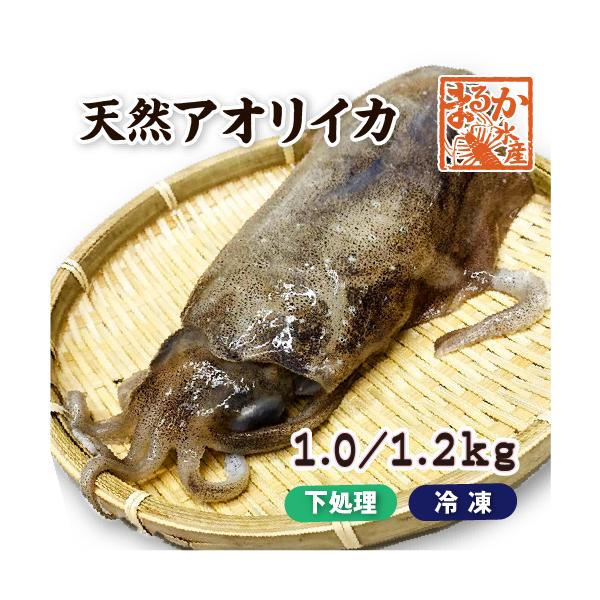 天然アオリイカ　国産　冷凍[魚介類]外国産のアオリイカではない「本物」のアオリイカの味をご賞味ください。1匹丸ごとですのでお刺身やバター焼きなどいろいろな料理に御使用できますお届け方法も以下のように選べます。■そのまま真空冷凍でお届けすれば...
