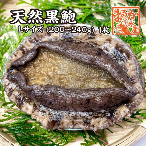 [商品名]天然黒あわび Lサイズ 200〜240g　1枚 [あわび][産地]国産　主に三重県、愛媛県（他、宮城、秋田、青森、岩手県産）[発送方法]要送料　ヤマト運輸クール冷蔵便[賞味期限]発送日より3日（要冷蔵）[販売者]マルカ水産株式会社...