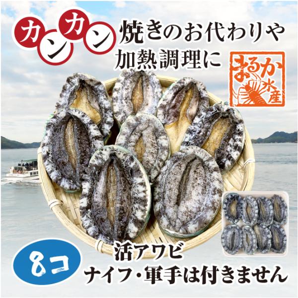 牡蠣などのカンカン焼きを食べられた後のカンカンをそのまま使って、おかわりでアワビのカンカン焼きはいかがですか？小サイズ(70〜80g)の活アワビが8個入で冷蔵便でお届けします。小さくてもよく肥えているので身が分厚く、柔らかな食感をお楽しみく...