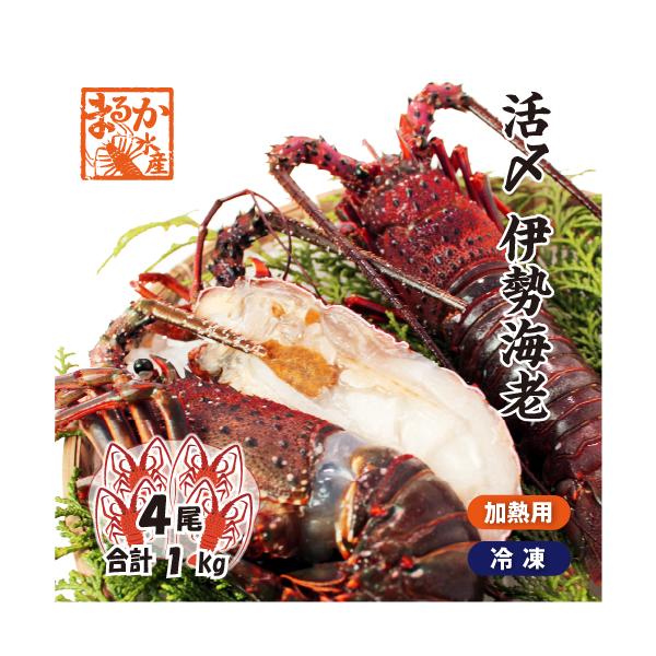 まるか水産 標準サイズの伊勢海老（230~280g）を、4尾セット（合計1kg入り）でご用意しました。中ぶりで、テルミドールや鬼瓦焼きにも適した、ちょうどいいサイズです。 「伊勢海老」の名の由来の三重県伊勢志摩で水揚げされた、活きのいい伊勢...