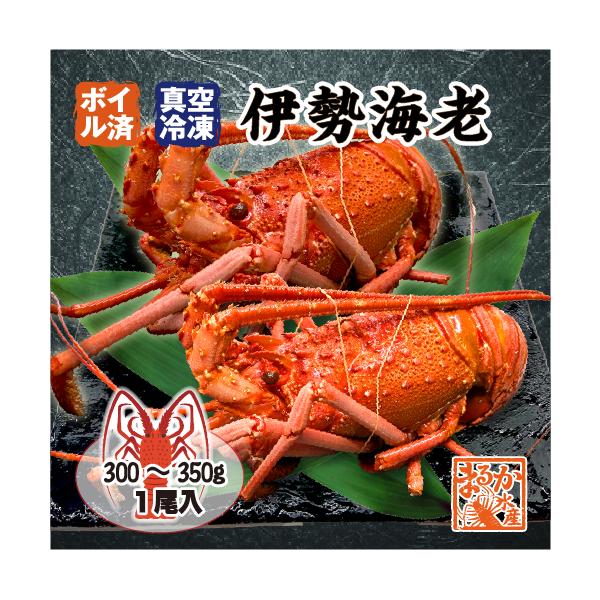 当店の生け簀（水槽）で元気に泳ぐ活きた伊勢海老を氷で〆てから、伊勢海老本来の甘みと旨みを逃さないよう、 最適な火入れを行い、 真空パック包装にて美味しさを閉じ込めた状態で急速冷凍しています。足や爪が欠けている「訳あり品」ですが、伊勢海老は足...