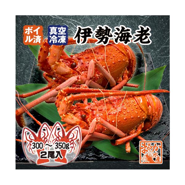 当店の生け簀（水槽）で元気に泳ぐ活きた伊勢海老を氷で〆てから、伊勢海老本来の甘みと旨みを逃さないよう、 最適な火入れを行い、 真空パック包装にて美味しさを閉じ込めた状態で急速冷凍しています。足や爪が欠けている「訳あり品」ですが、伊勢海老は足...