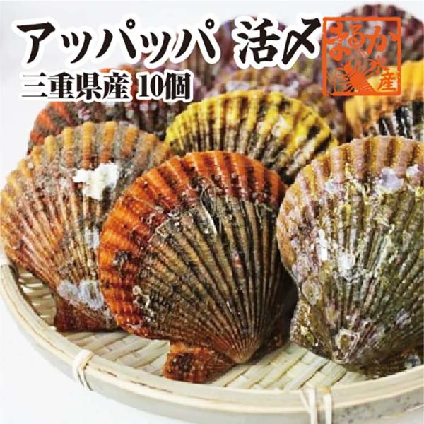 [内容量]アッパッパ（桧扇貝）10枚[産地]三重県伊勢志摩[賞味期限]発送日より3日[発送方法]ヤマト運輸　クール冷蔵便