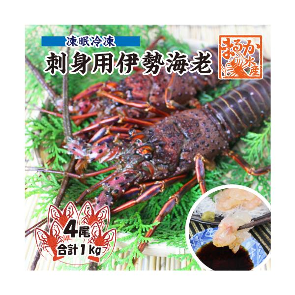 獲れたての活きのいい伊勢海老を特殊技術で急速冷凍した、刺身用冷凍伊勢海老です。伊勢海老としては標準サイズの230〜270ｇの伊勢海老を4尾（合計1kg）でお届けします。凍眠冷凍 伊勢海老は、獲れたての活きのいい伊勢海老を特殊技術で瞬間冷凍し...