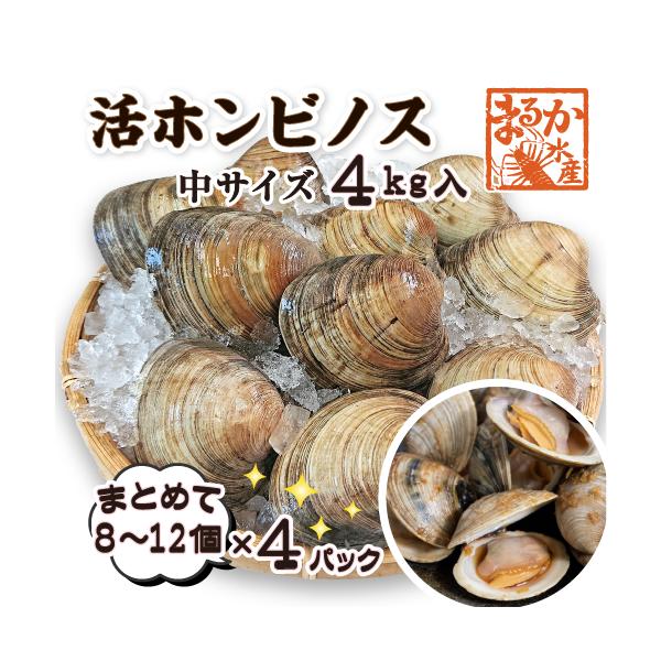 ホンビノス貝は「ハマグリとアサリをあわせたような味わい」で、濃厚なうまみをしっかりと感じられる貝です。ホンビノス貝のサイズは、横幅5cmほどのものから10cm近いものまでありますが、こちらの商品は、7cm程度（80〜120g）の中サイズ（8...