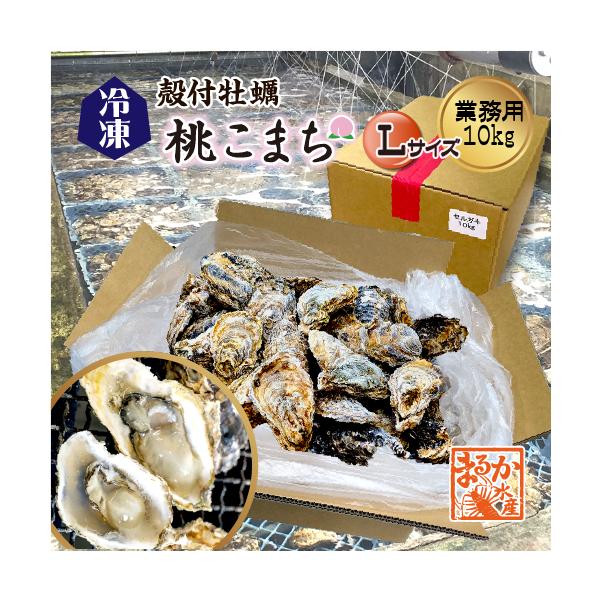 ご好評いただいているブランド牡蠣「桃こまち」に、イベントやバーベキュー、業務用・まとめ買いにぴったりな大容量10kgケースが登場しました！一番身入りの良い旬（3〜4月）の時期に収穫し、三重県規格の滅菌洗浄を行ったあと急速冷凍。美味しさと安全...